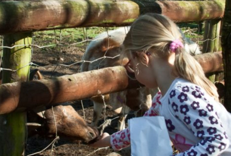 Hope Nature Centre - Farming UK Farm Attractions