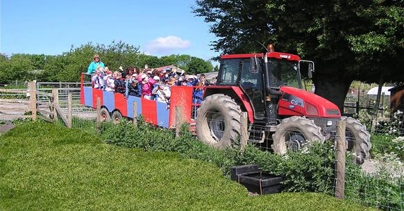 Hall Hill Farm - Farming UK Farm Attractions