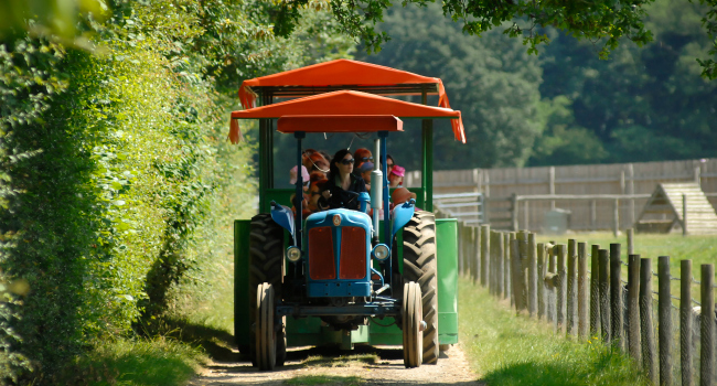 Odds Farm Park - Farming UK Farm Attractions