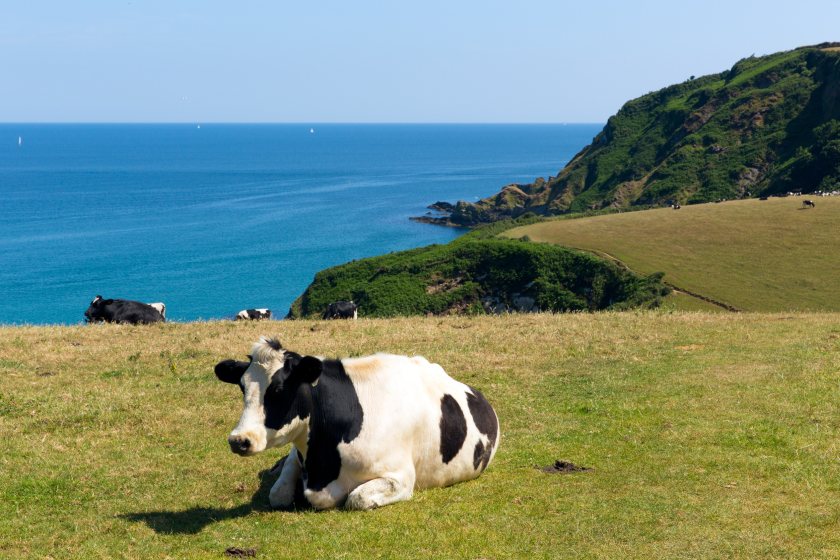British dairy exports surge 20% as industry targets global growth ...