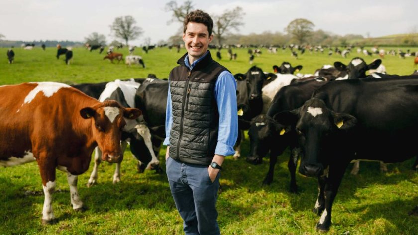McDonald's pours millions into greener milk as Arla partnership expands ...
