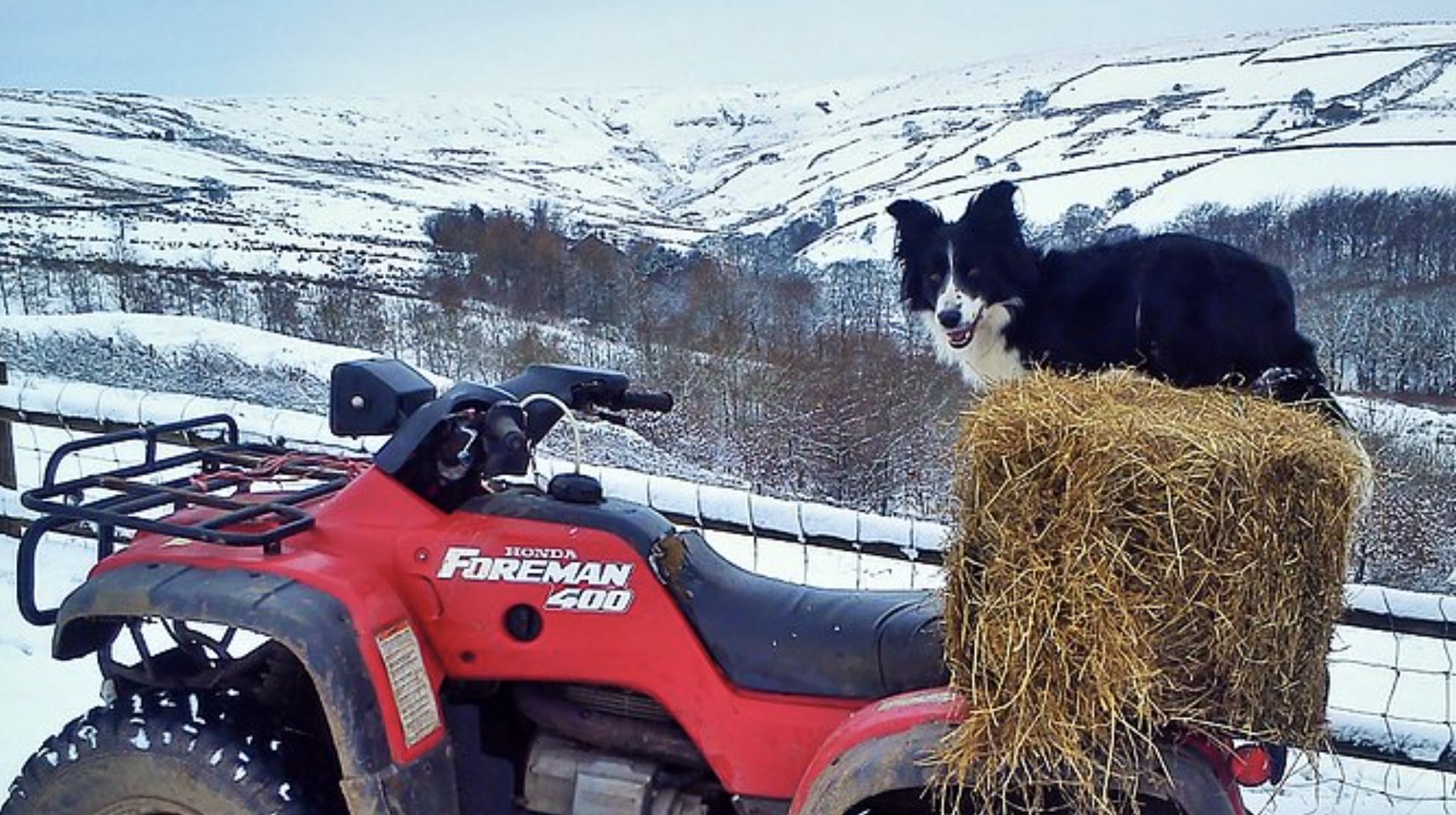 Award in the Safe Use of Sheep Dip, PMR Direct Ltd - Farming UK