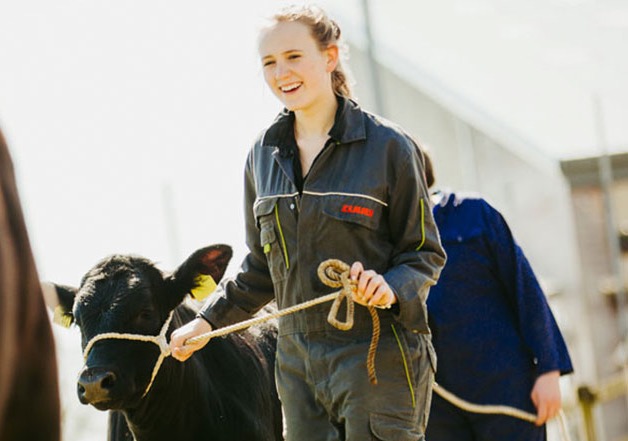 Level 2 Apprenticeship in Agriculture - Poultry Worker, Bishop Burton ...