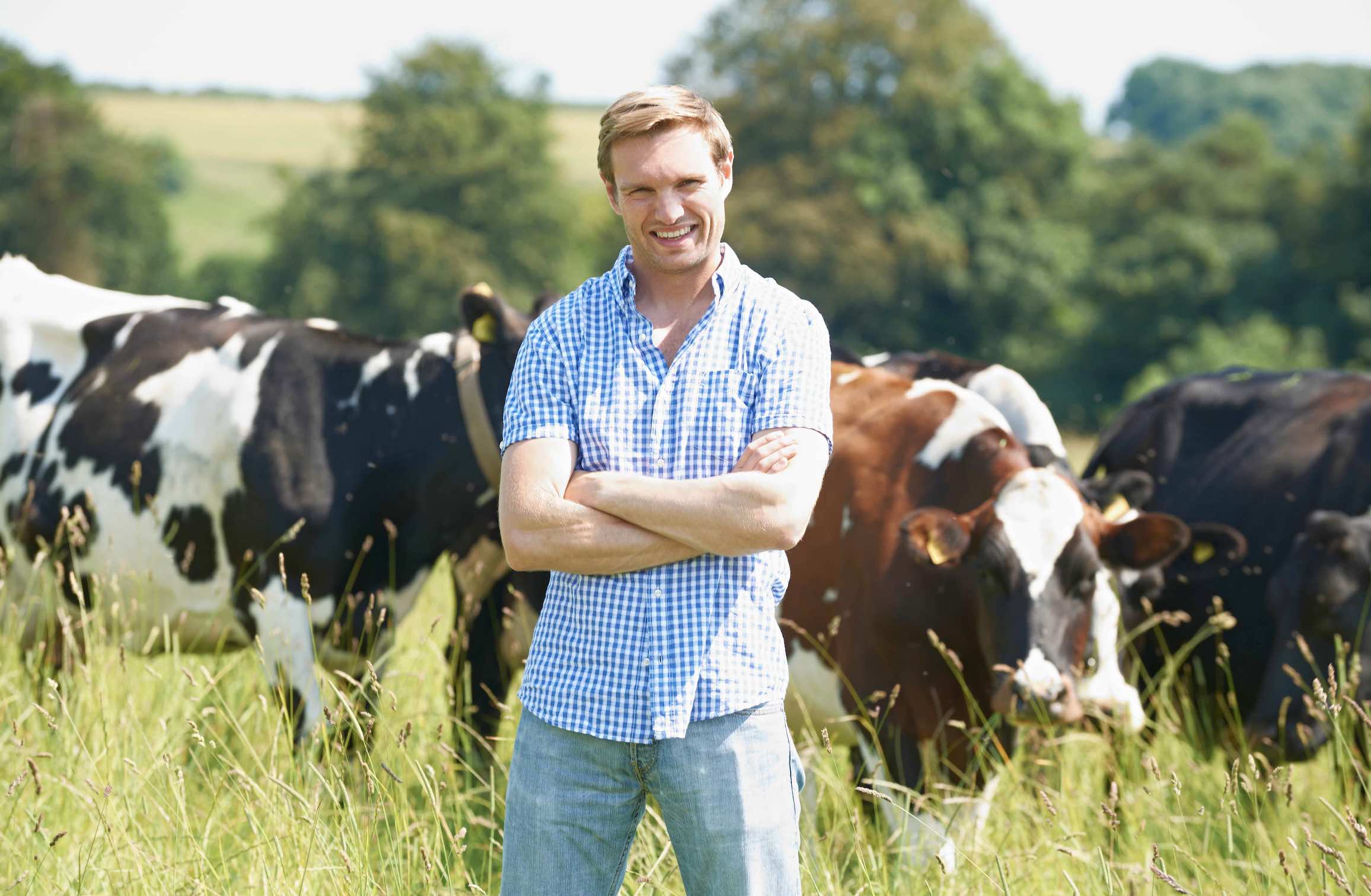 180 Degree Excavator Above 5 Tonnes (JCB Type), Morton Training Ltd ...