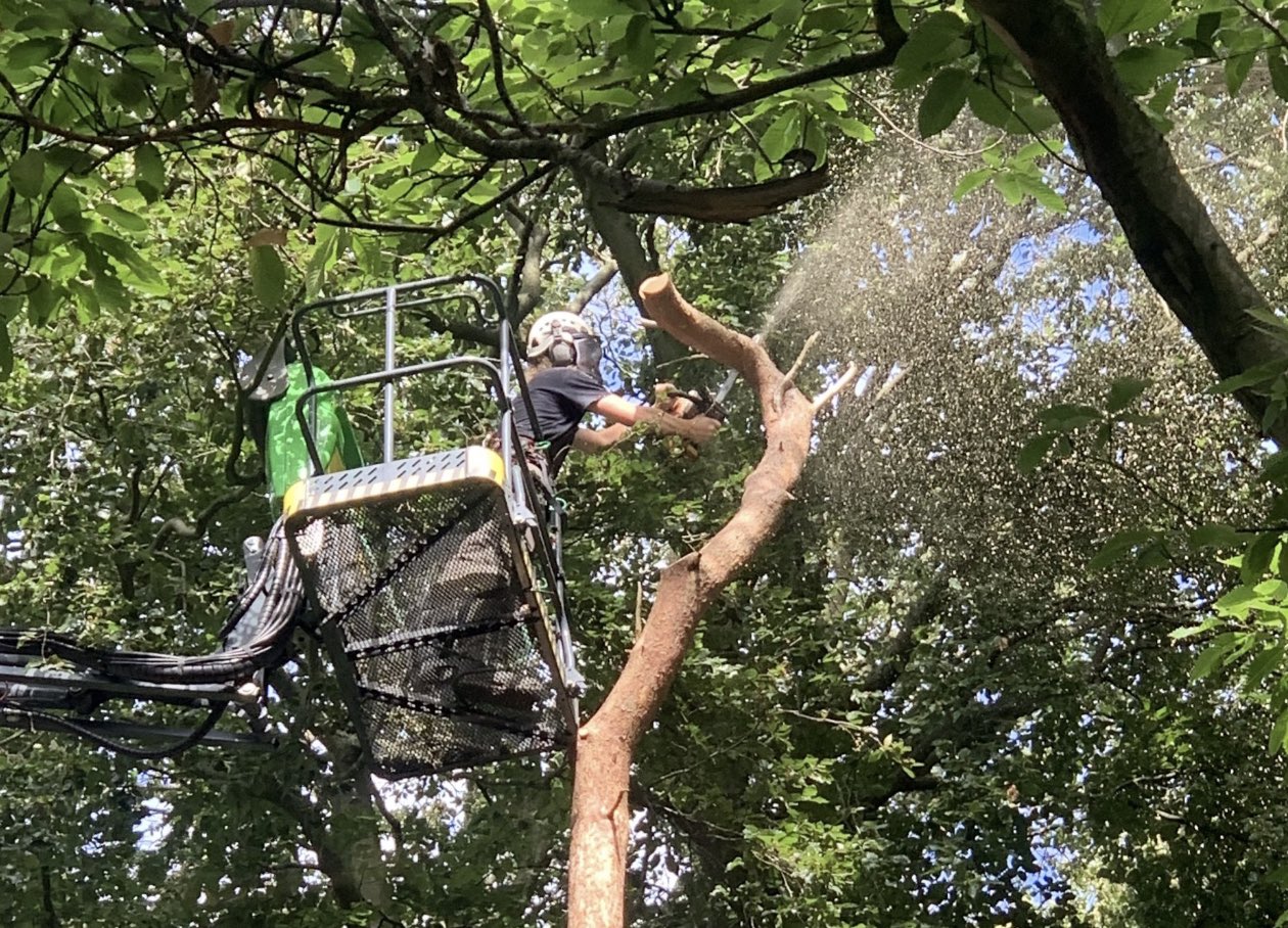 Level 2 Award in the Safe Use of a Mobile Elevated Work Platform ...