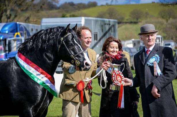 Lampeter Show - FarmingUK Shows