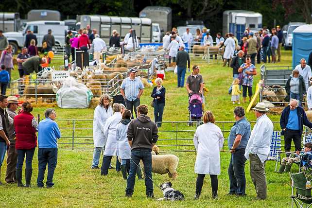 Oswestry Show - FarmingUK Shows