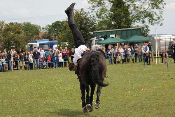 Eastrington Show - FarmingUK Shows