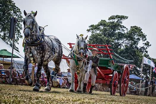 Tendring Show - FarmingUK Shows