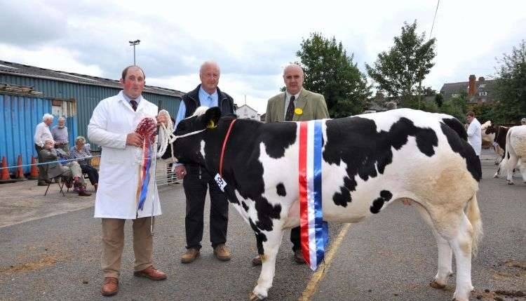 Leicestershire County Show - FarmingUK Shows