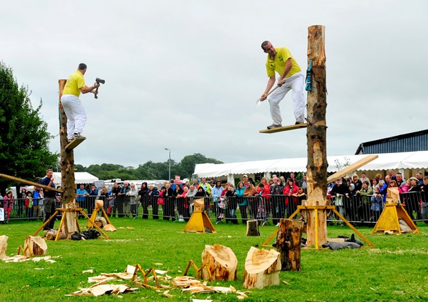 Pembrokeshire County Show - FarmingUK Shows