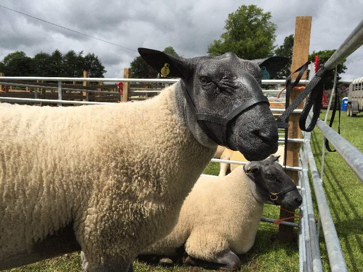 Kilmacolm Show - FarmingUK Shows