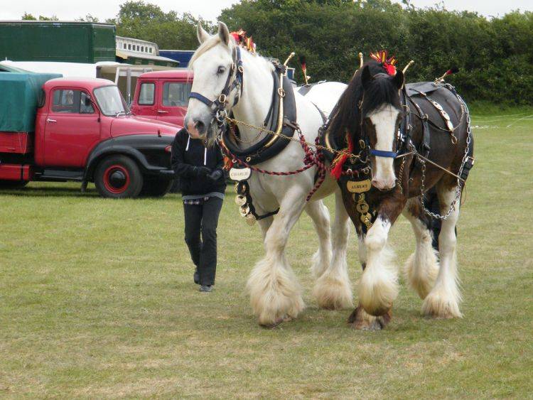 Cuckoo Spring Fayre - FarmingUK Shows