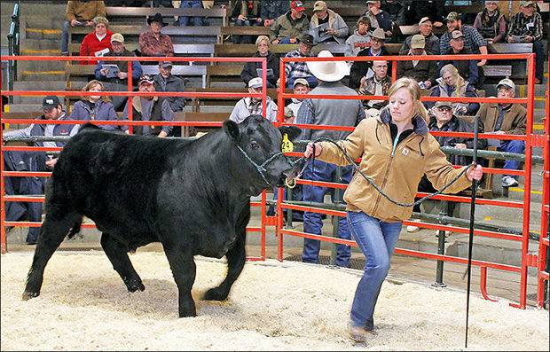 Beef Expo - FarmingUK Shows