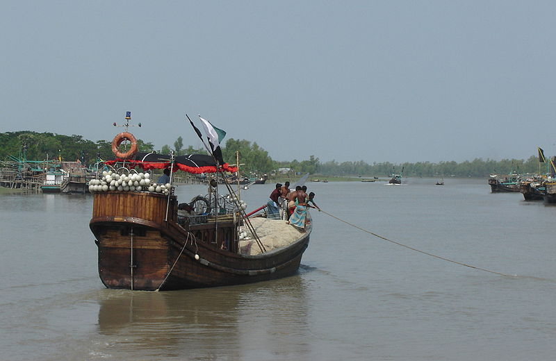 Global fish production reaches all-time high - FarmingUK News