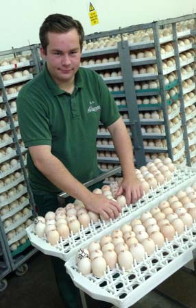 Three finalists chosen for Zoetis/BPC Poultry Trainee of Year Award ...