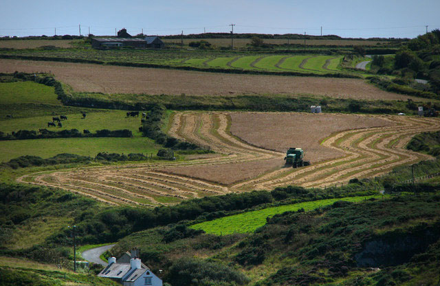 Rural economy recovers as last year's pessimism fades - FarmingUK News