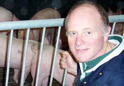 IT in pig production: which generation will reap benefits? - FarmingUK News