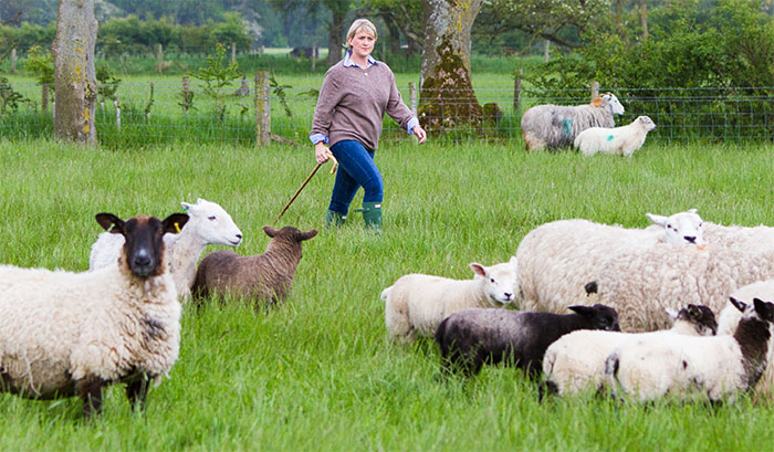 CLA highlights sharing as key for future of farming - FarmingUK News