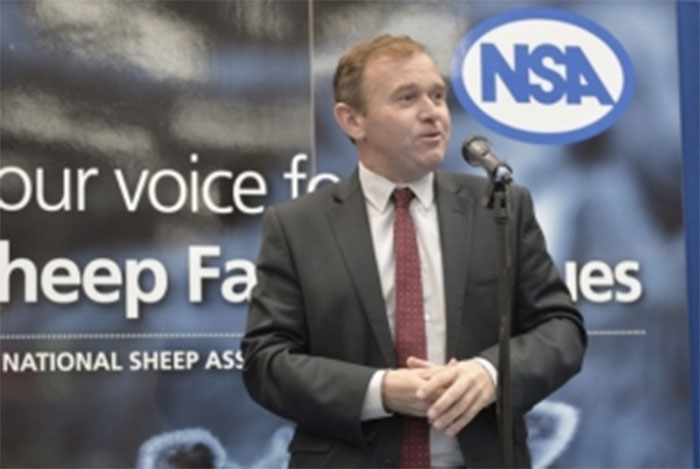 Optimistic outlook for sheep sector showcased at NSA Sheep Event ...