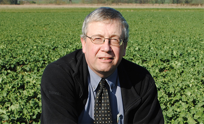 Autumn fungicides could boost struggling OSR - FarmingUK News