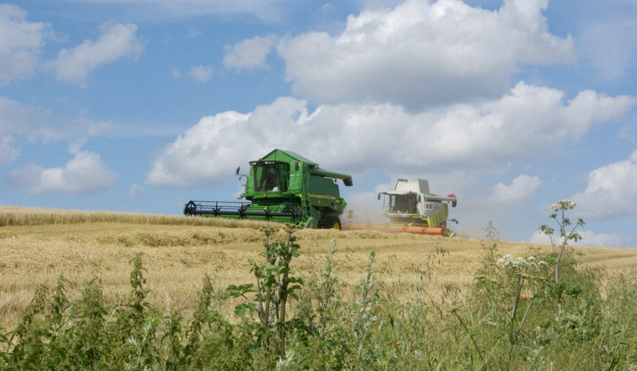 Welsh farmers urge EU to rethink CAP greening rules - FarmingUK News