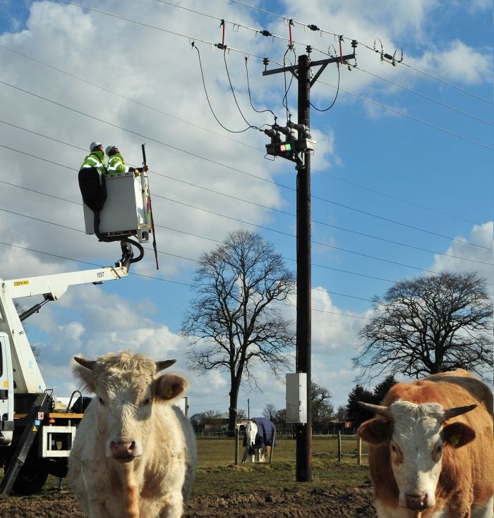 Northern Powergrid reminds farmers to look up and stay safe this ...
