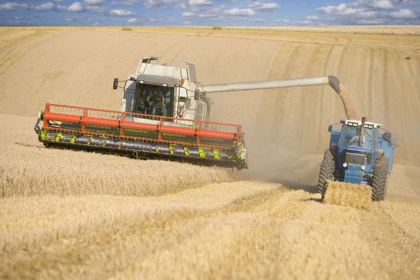 First spring barley results in as winter wheat harvest continues ...