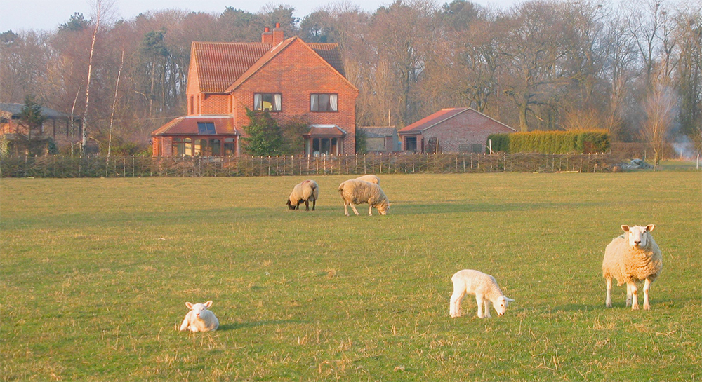 Can the family farm survive divorce? - FarmingUK News