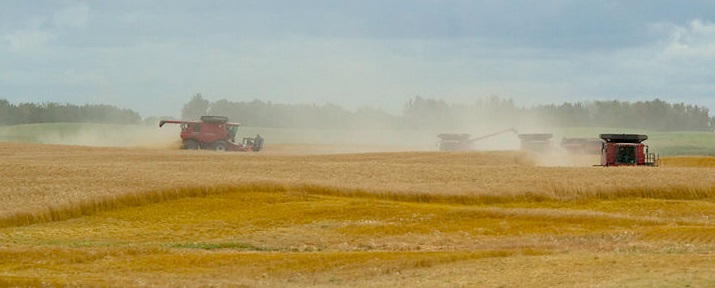 Crops with improved yields could become a reality thanks to research ...