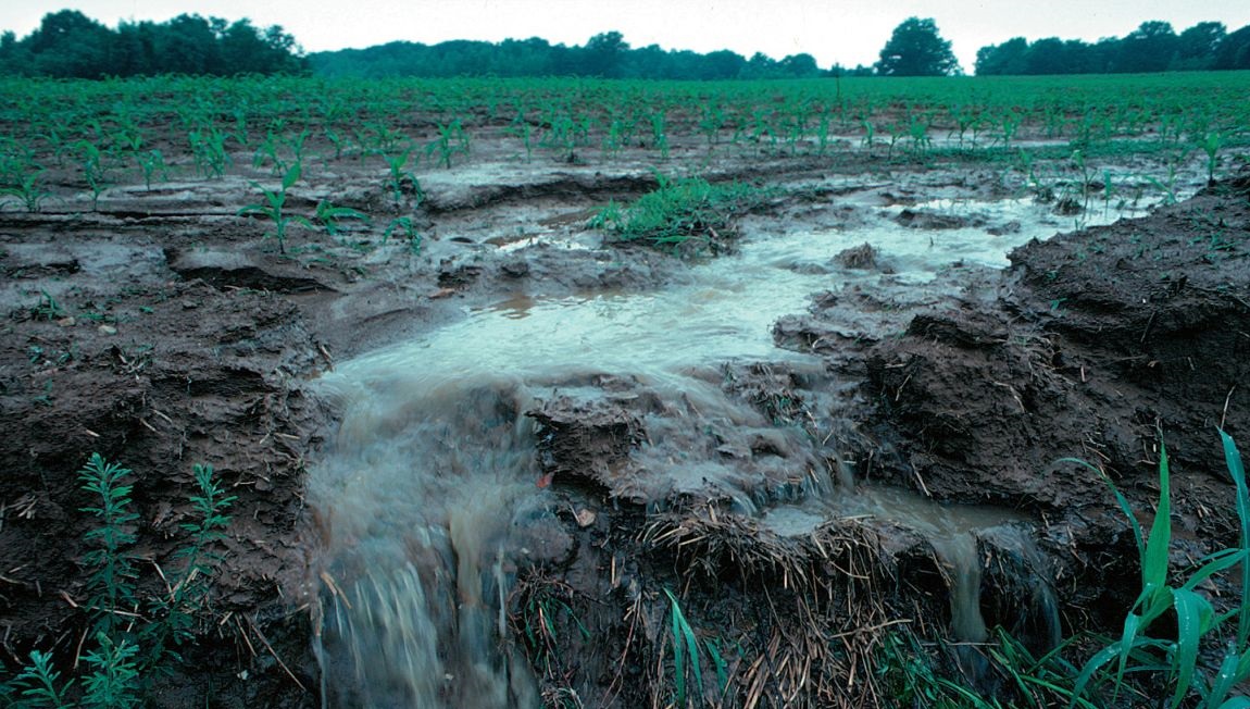 NFU concerns over planned new ‘basic rules’ to help tackle diffuse ...