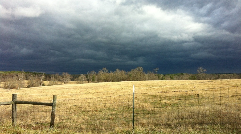 Increased weather volatility threatens British food production ...