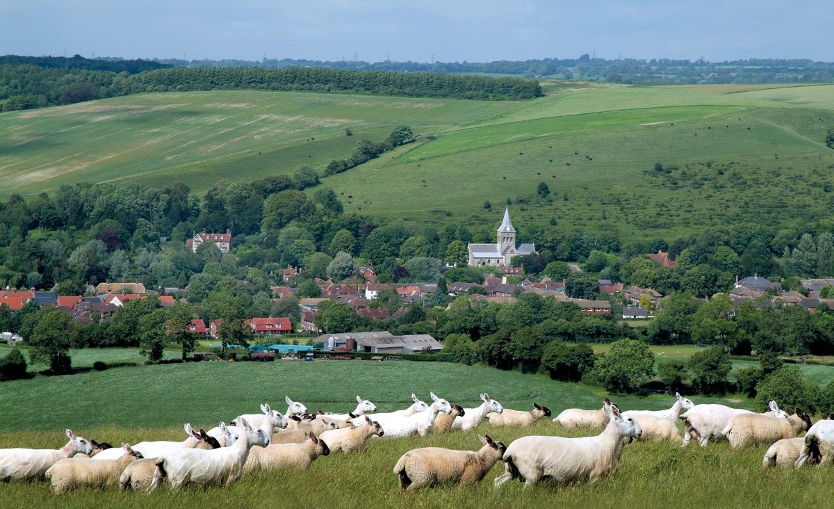 NFU New Year's message - 'We are entering a critical time for British ...