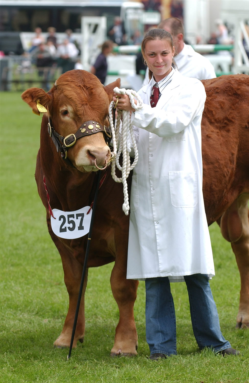 Birthday celebrations at South of England show - FarmingUK News