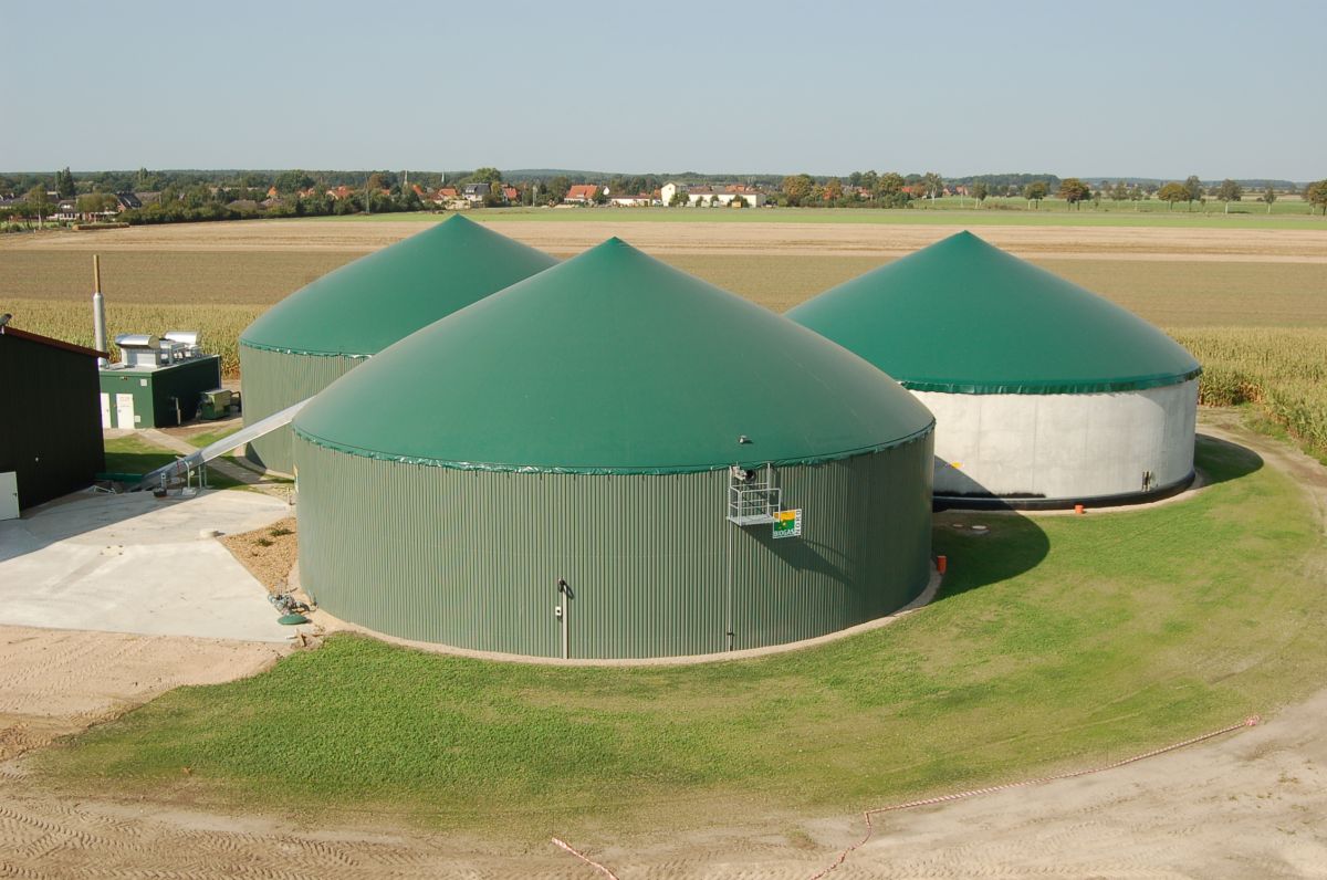 'Weaknesses' in certifying sustainable biofuels 'could undermine' EU's ...