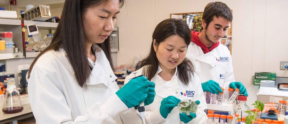 Launch of Shanghai crop laboratory bolsters UK-China scientific ...