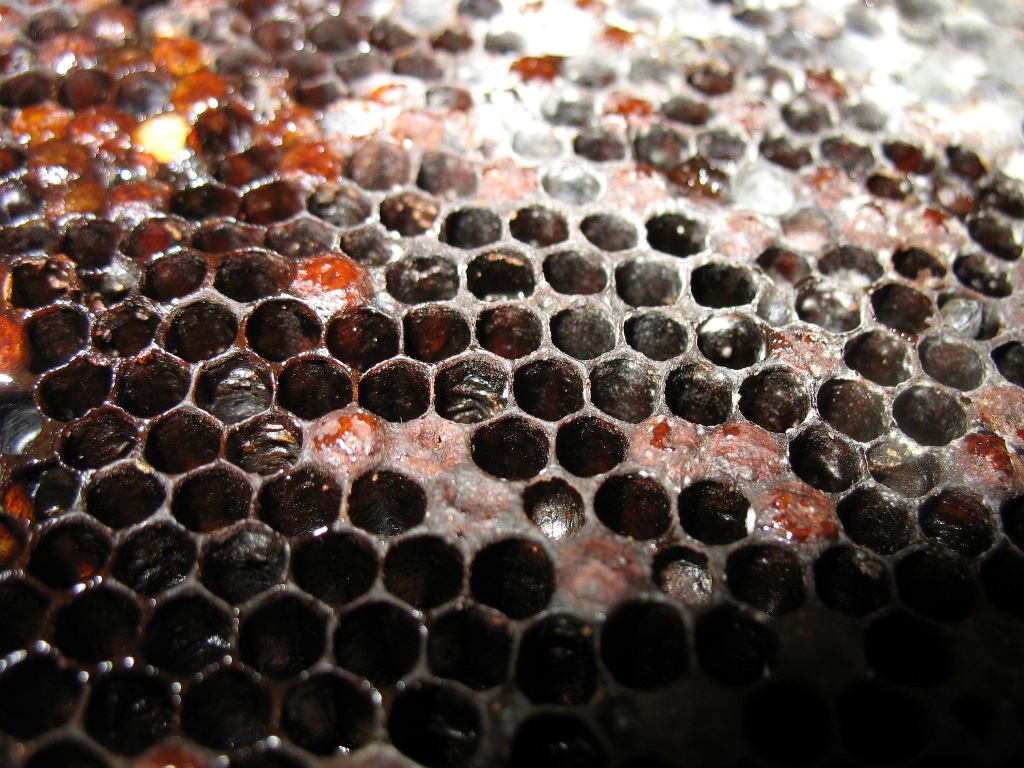 Bee disease 'American Foulbrood' detected in Aberdeenshire - Farming UK ...