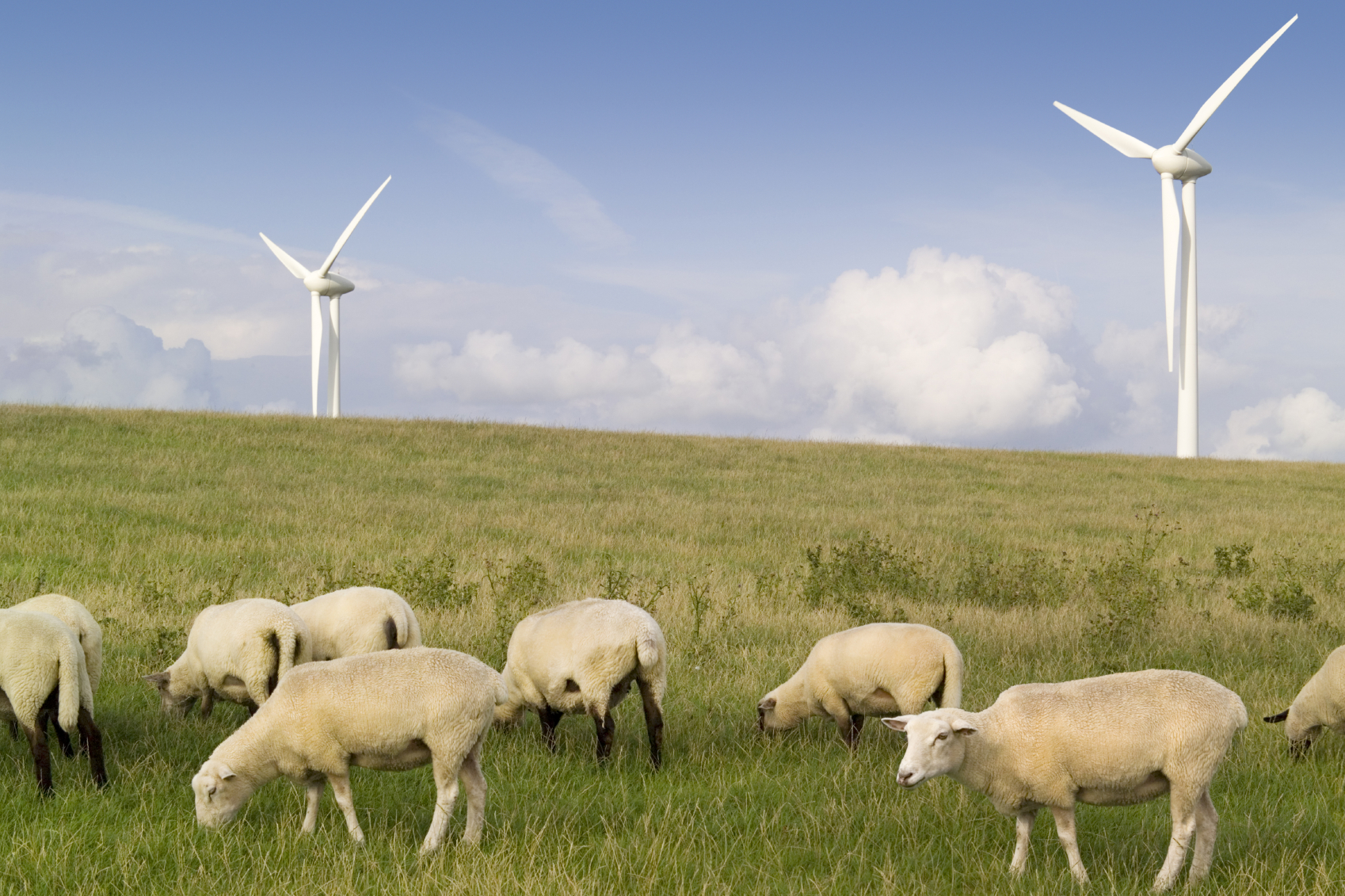 Rural communities to come together to shape own sustainable energy ...