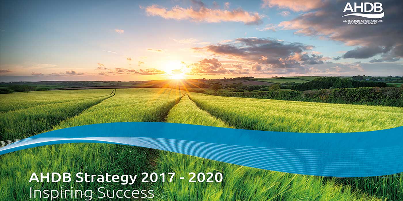 AHDB Beef & Lamb strategy to be discussed at levy payer events ...