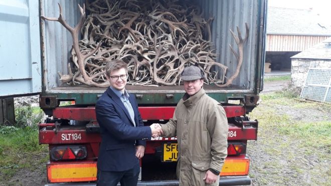 Red deer farmer to supply antlers to Chinese medicine market ...