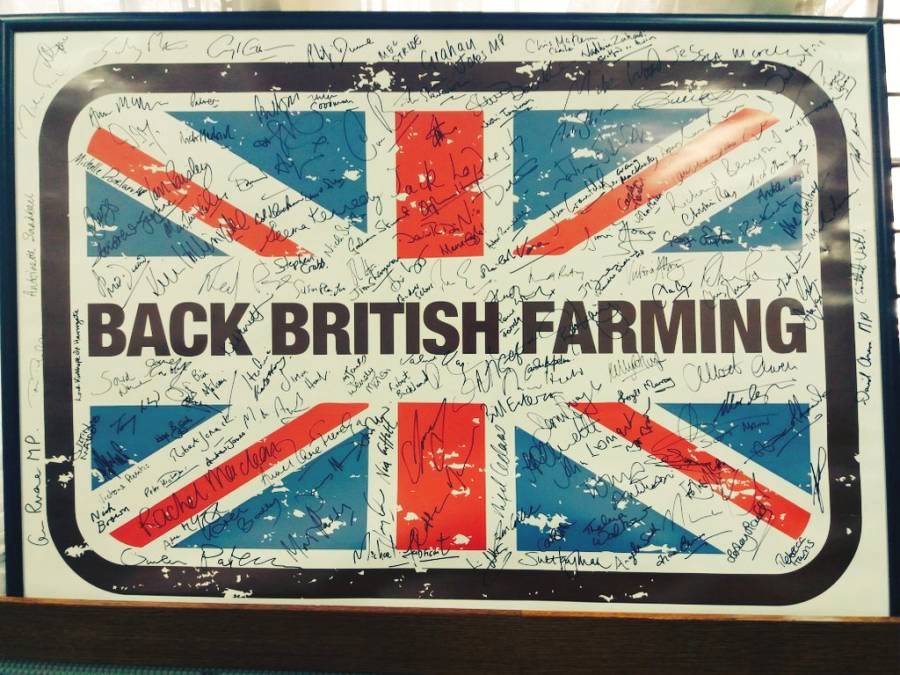 May pledges to make a success of Brexit for Britain’s farming industry ...