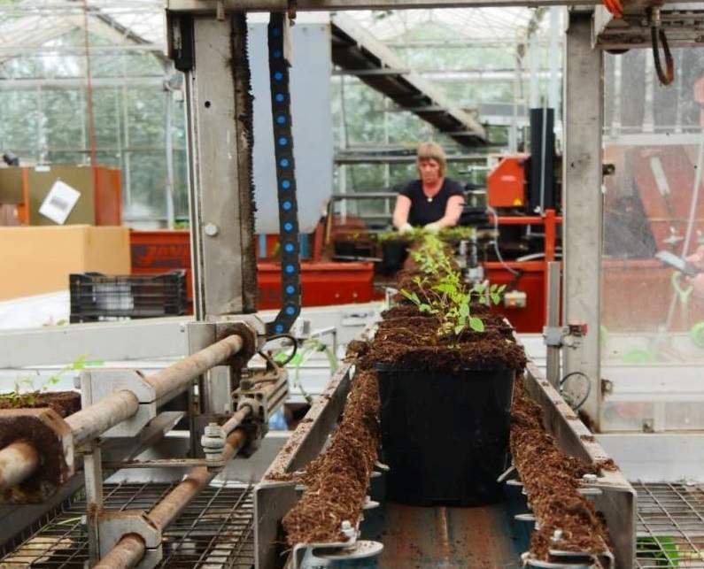 Embrace new technologies to battle lack of labour, horticultural ...