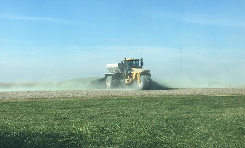 Farming crops with crushed rocks could help improve food security ...