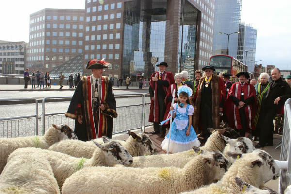 Woolmen drive sheep over London Bridge to promote British wool ...
