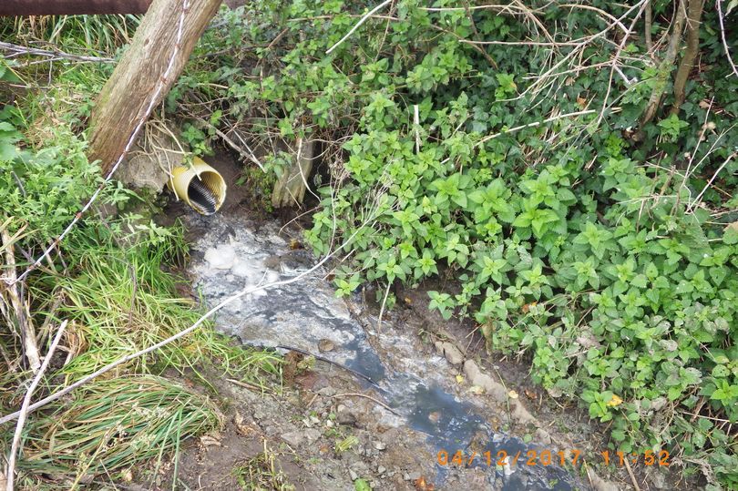 Farmer ordered to pay £4,000 after 'significant' water pollution ...