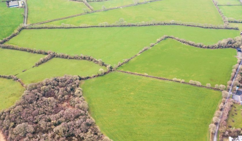 Three separate parcels of land become available in Wales - FarmingUK News