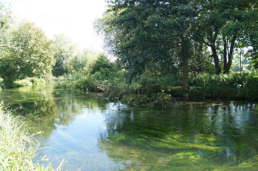 Rare chalk streams to benefit as more farms join environmental co-op ...