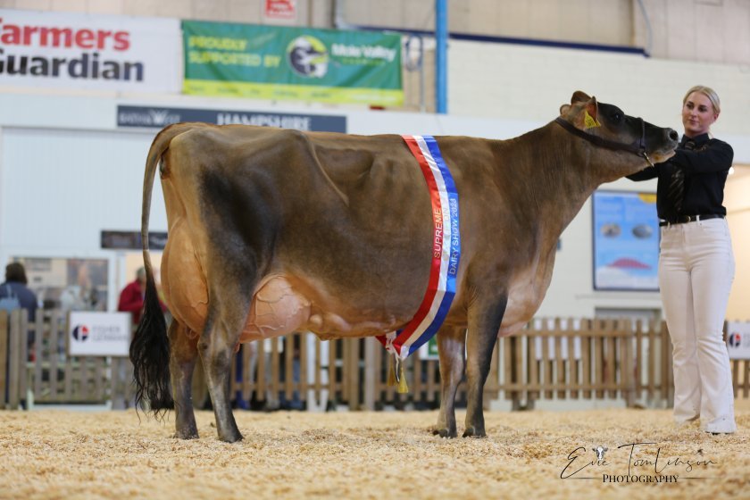 Homebred dairy cows top the board at the Dairy Show - FarmingUK News
