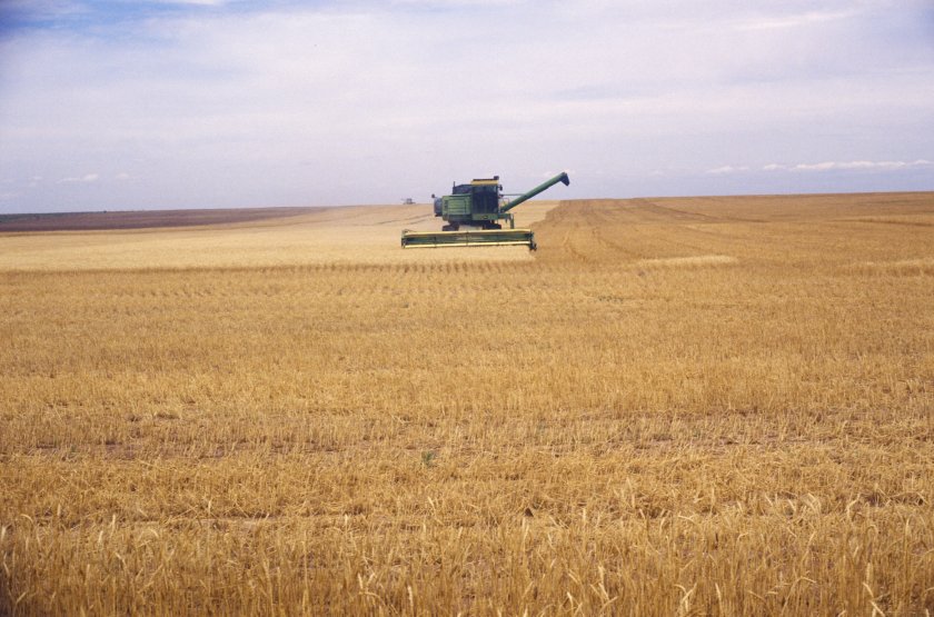 Review of combinable crops assurance commissioned by AHDB - FarmingUK News