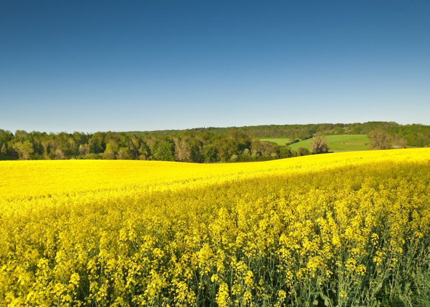 Red Tractor protects access to EU's biofuels market for Crops ...